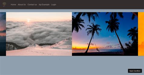 Slick Slider Examples Codesandbox