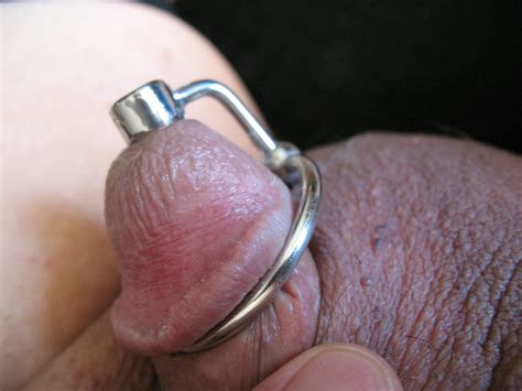 More Steel In Cock With Glans Rings 430 Pics Xhamster