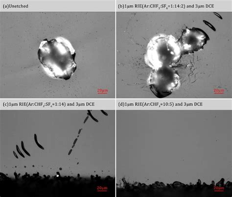 Surface Morphologies Of The Samples Treated With Different