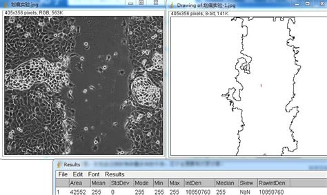 用image j测量特定区域面积占总面积的比例 知乎