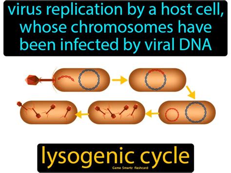 Host Science Definition