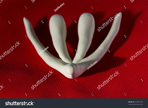 D Printed Female Sex Organ Clitoris Foto Stok Shutterstock