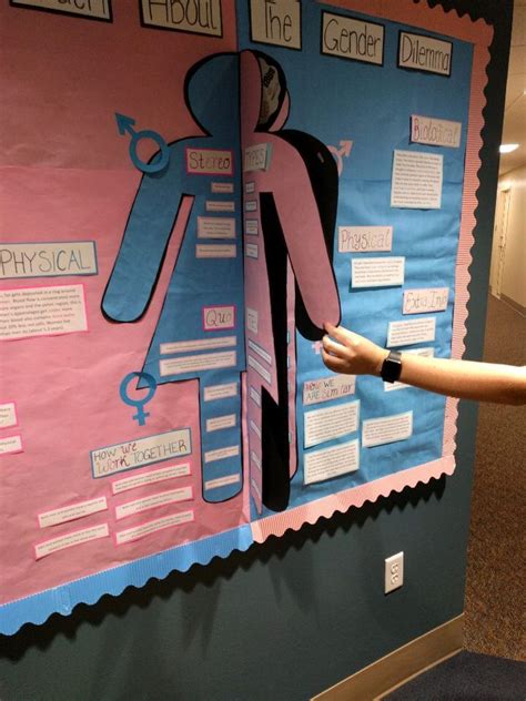 November Bulletin Board All About Gender Stereotypes And How The Genders Work To