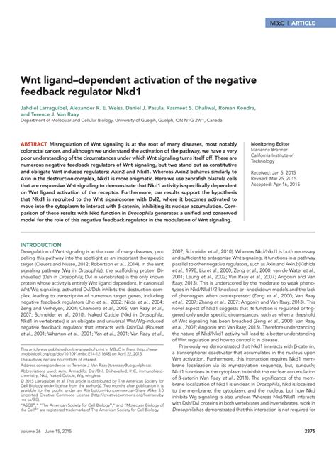 Pdf Wnt Ligand Dependent Activation Of The Negative Feedback