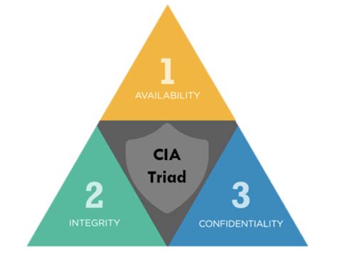 6 8 Copy Flashcards Quizlet