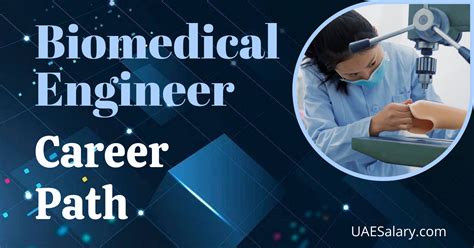 Biomedical Engineer Career Path Opportunities And Progression