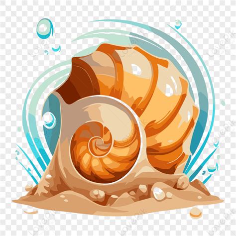 해변 조개 벡터 상표 클립 아트 만화 Png 일러스트 무료 다운로드 Lovepik