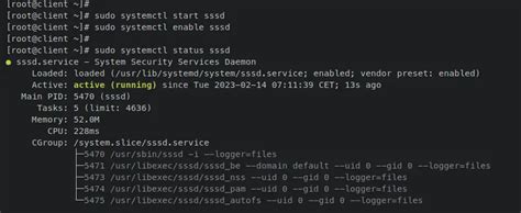 How To Install Openldap Server And Client On Rocky Linux 9