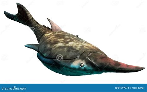 Pteraspis Stock Illustration Illustration Of Prehistoric 81797774