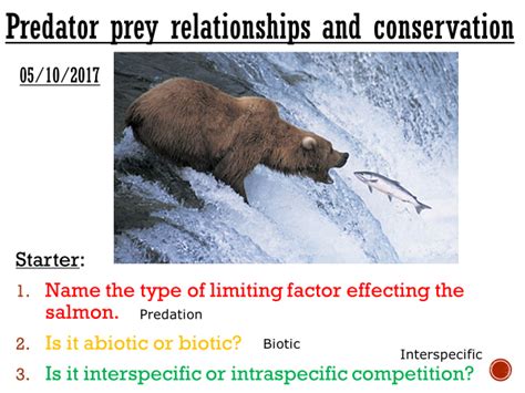 Predator Vs Prey Relationship Tastichery