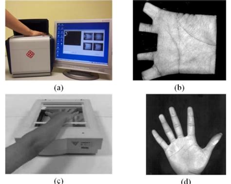 Contact Hand Image Acquisition A The Contact Palmprint Acquisition Download Scientific