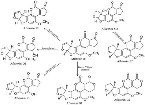 Achievements And Prospects In Electrochemical Based Biosensing
