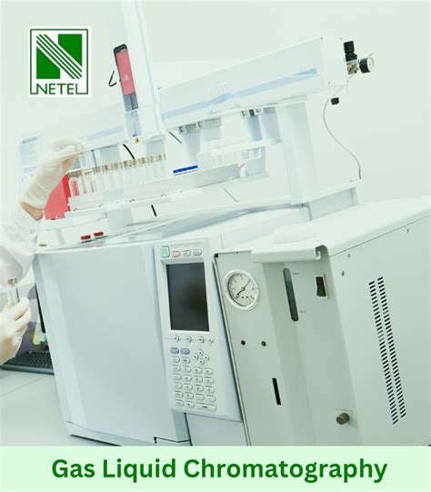 Gas Liquid Chromatography Detectors A Comprehensive Guide