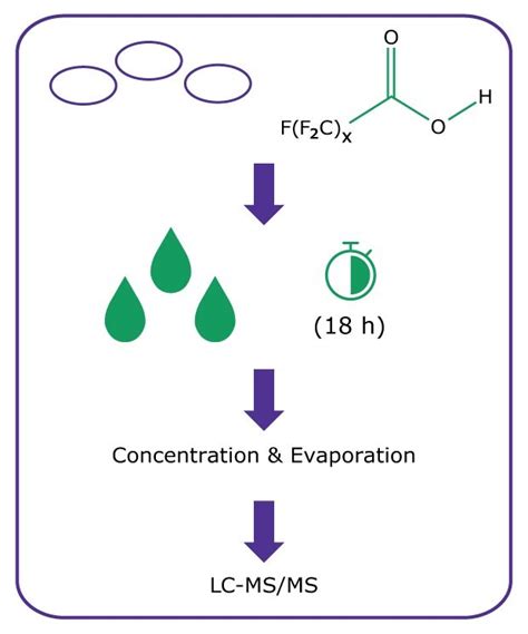 Analysis Of Pfas Extractables In Glass Fiber Membrane Filters After Otm