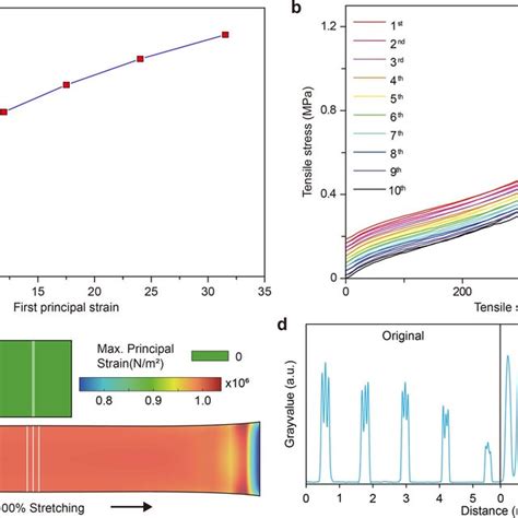 Characterization Of The Stretchable X Ray Detector A Material Download Scientific Diagram