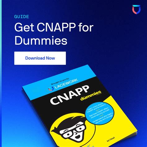 CNAPP for Dummies | Adrian Daniels