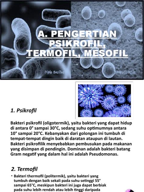 Pengertian Psikrofil Termofil Mesofil Pdf