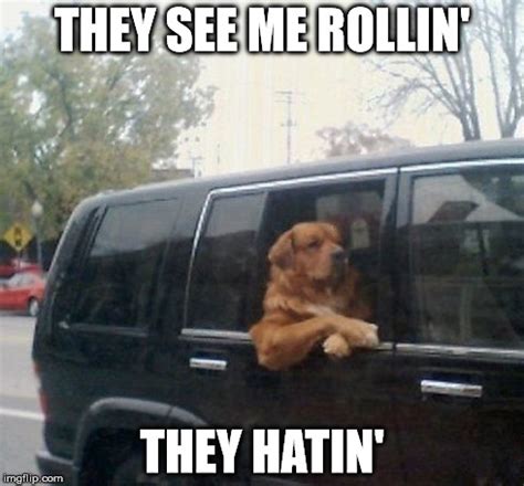 High Rollin Memes
