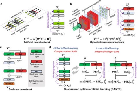 利用双神经元光学人工学习训练大规模光电神经网络 Nature Communications X Mol