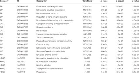 go kegg enrichment analysis of rest associated de mrnas download