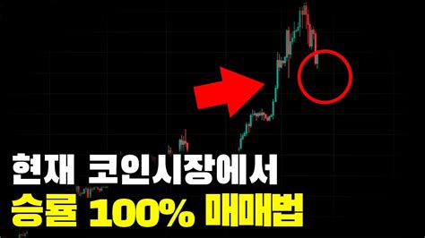 지금같은 장에서 100 수익 낼 수 있는 매매방법 Youtube