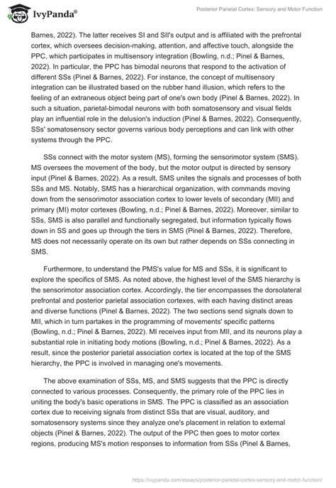 Posterior Parietal Cortex Sensory And Motor Function 1201 Words Essay