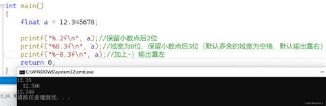 C语言 输入输出前导显示前导格式控制符 Csdn博客