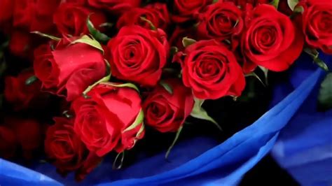 빨간 장미 100송이 백송이 장미 꽃다발 프러포즈 기념일 이벤트 강남 역삼 선릉 논현 언주 꽃집 배달 라포레드희아틀리에