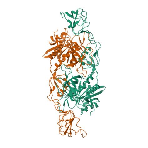 Rcsb Pdb 2fu3 Crystal Structure Of Gephyrin E Domain