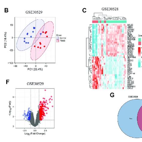 Mrna Level Of Hub Genes In Gse47183 All Hub Genes Are Upregulated In