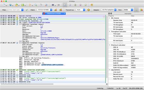 WebSocket Server Terminal IO Ninja