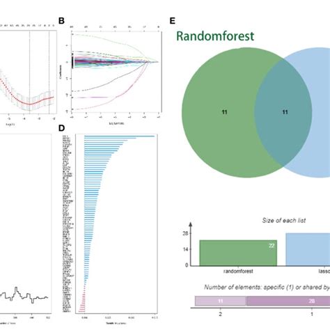 Lasso Regression Analysis And Random Survival Forest Screening For