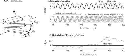 Schematic Illustration Of Non Ideal Helical Geometry And Helical Download Scientific Diagram
