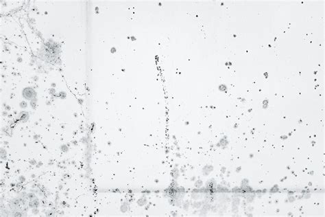 Understanding Simple Stains In Microbiology Knowing Fabric