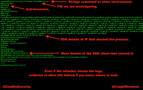 Using Linux Process Environment Variables For Live Forensics