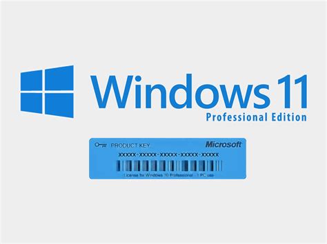 Buy Wind0ws 11 Pro Key 1pc1user On Sellapp