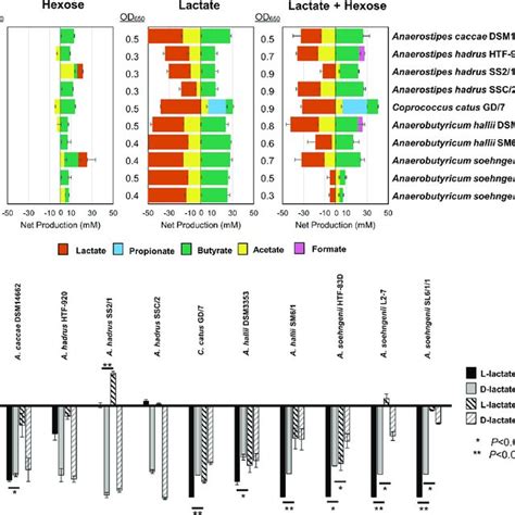 Fermentation Profiles Of Lactate Utilizing Bacteria Grown On Sugar On Download Scientific