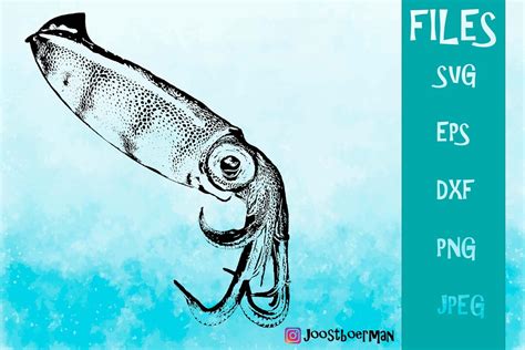 Squid Svg Squid Png Squid Clipart Animal Svg Squid Cut Files For Cricut Svg Files Etsy Squid Svg Squid Png Squid Clipart Animal Svg Squid Cut Files For Cricut Svg Files Etsy