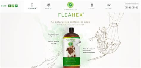 7 Trends That Will Define Web Design In 2016 — Sitepoint