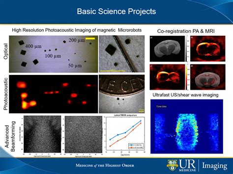Basic Science Projects Mehr Lab