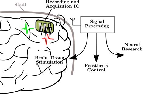 Data Compression Techniques For Brain Machine Interfaces Universität Ulm