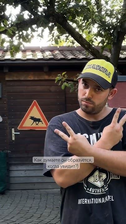 Ну похожи ж🤣 украинцывгермании молдован германия отношения Youtube