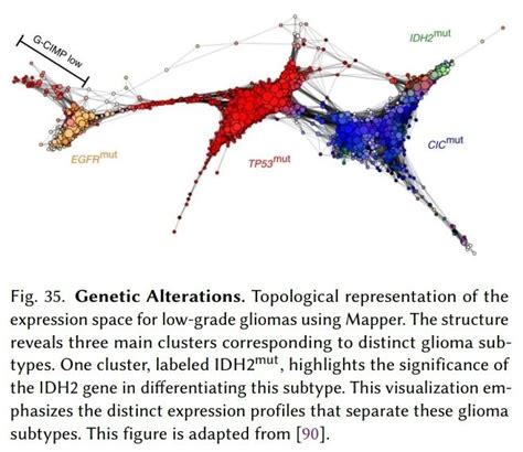 Brand New On September 4 2024 Topological Methods In Machine Learning A Tutorial For