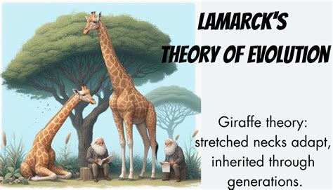 Lamarcks Theory Of Evolution Anthromania
