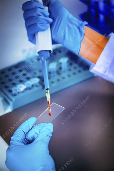 Scientist Preparing Microscope Slide Stock Image F Science Photo Library