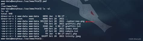 vulnhub靶机：matrix breakout 2 morpheus matrix breakout 2 morpheus csdn博客