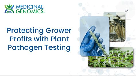 Protect Grower Profits With Plant Pathogen Testing Medicinal Genomics