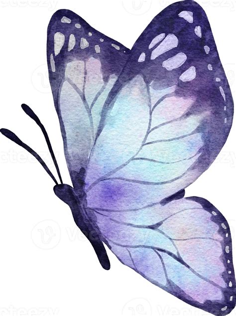 Ilustración De Mariposa Acuarela Dibujo De Una Mariposa Aesthetic