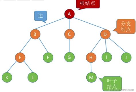 树的定义、基本术语及性质体系树最简单三个解释 Csdn博客