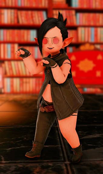 Stylish Traveler Eorzea Collection